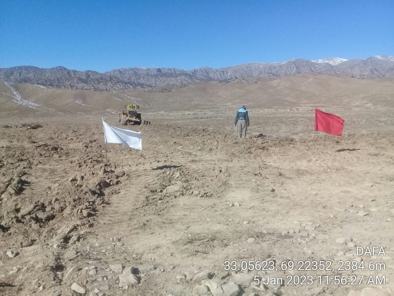 Organization Chart – DAFA